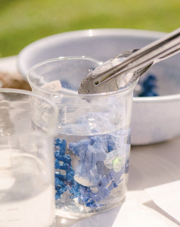 Coral Bleaching Kit - STEM Pre-Academy