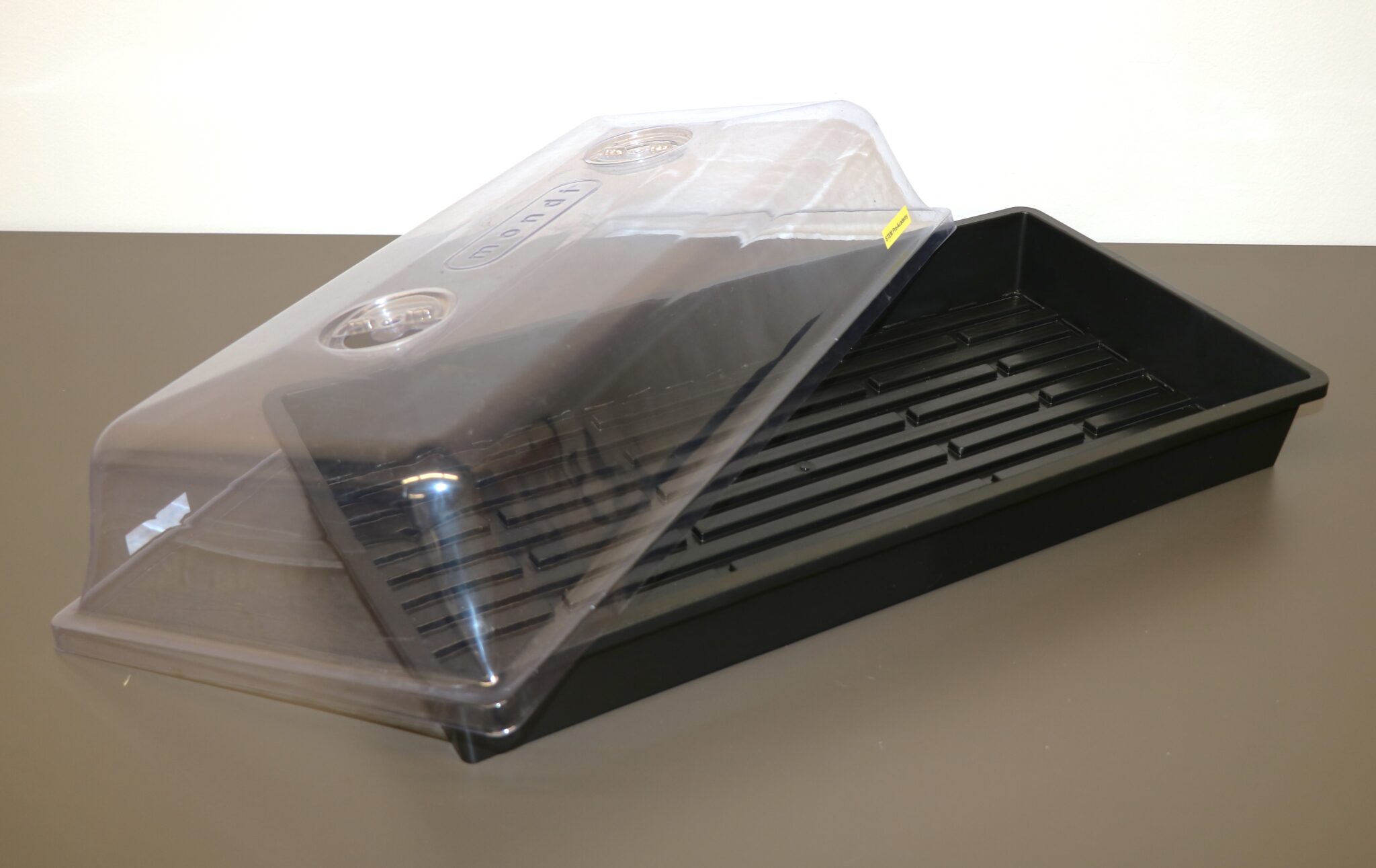 Germination Station - STEM Pre-Academy