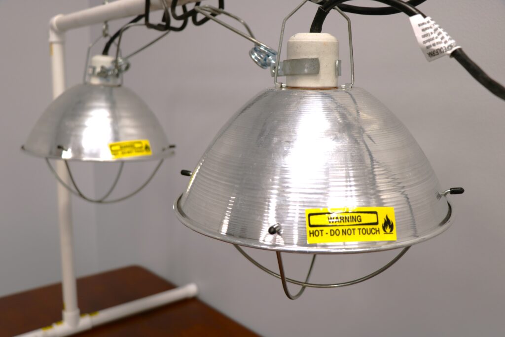 Heat Lamp Kit - STEM Pre-Academy